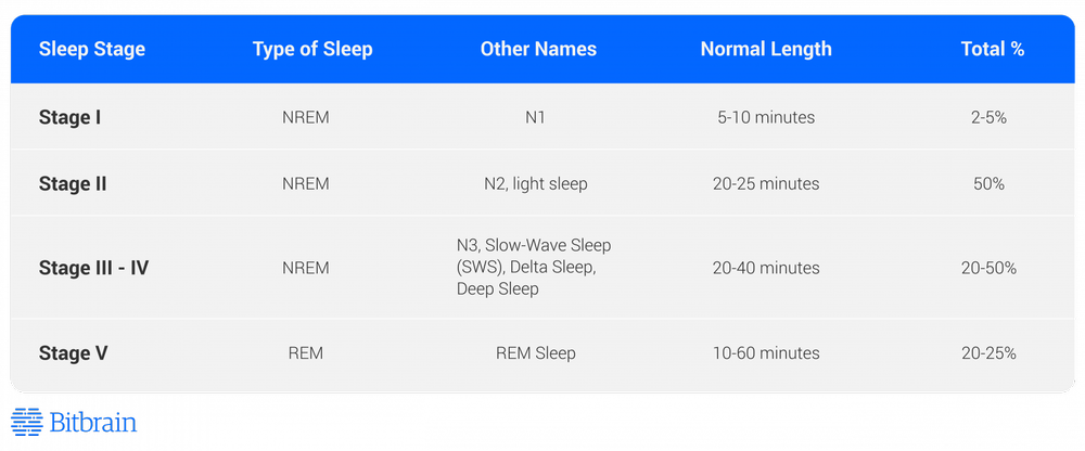Sleep EEG for Diagnosis and Research | Bitbrain