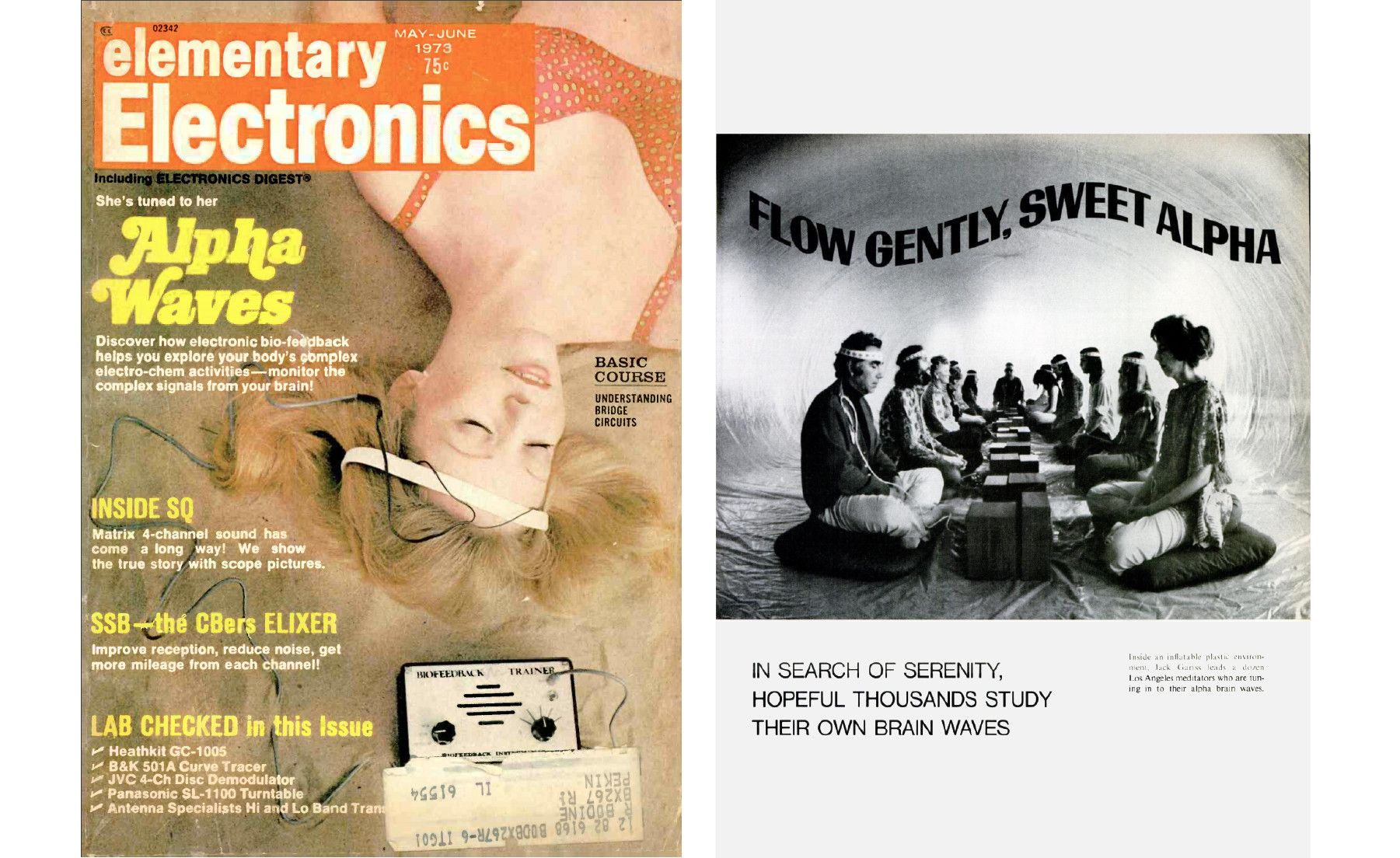 The Forgotten History of Alpha Brain Waves | Bitbrain