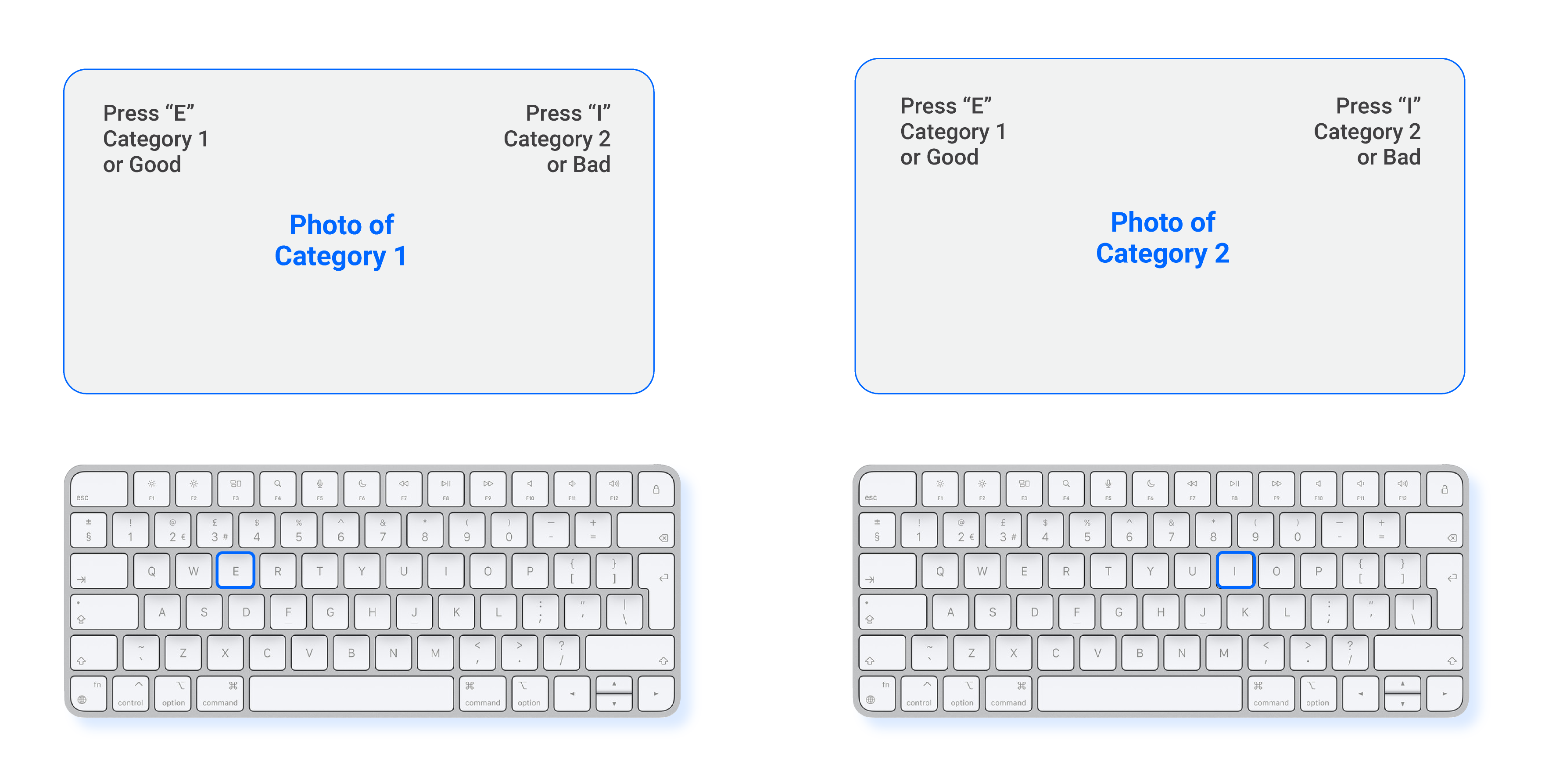 Introduction to Implicit Bias Tests: IAT and Priming tests | Bitbrain