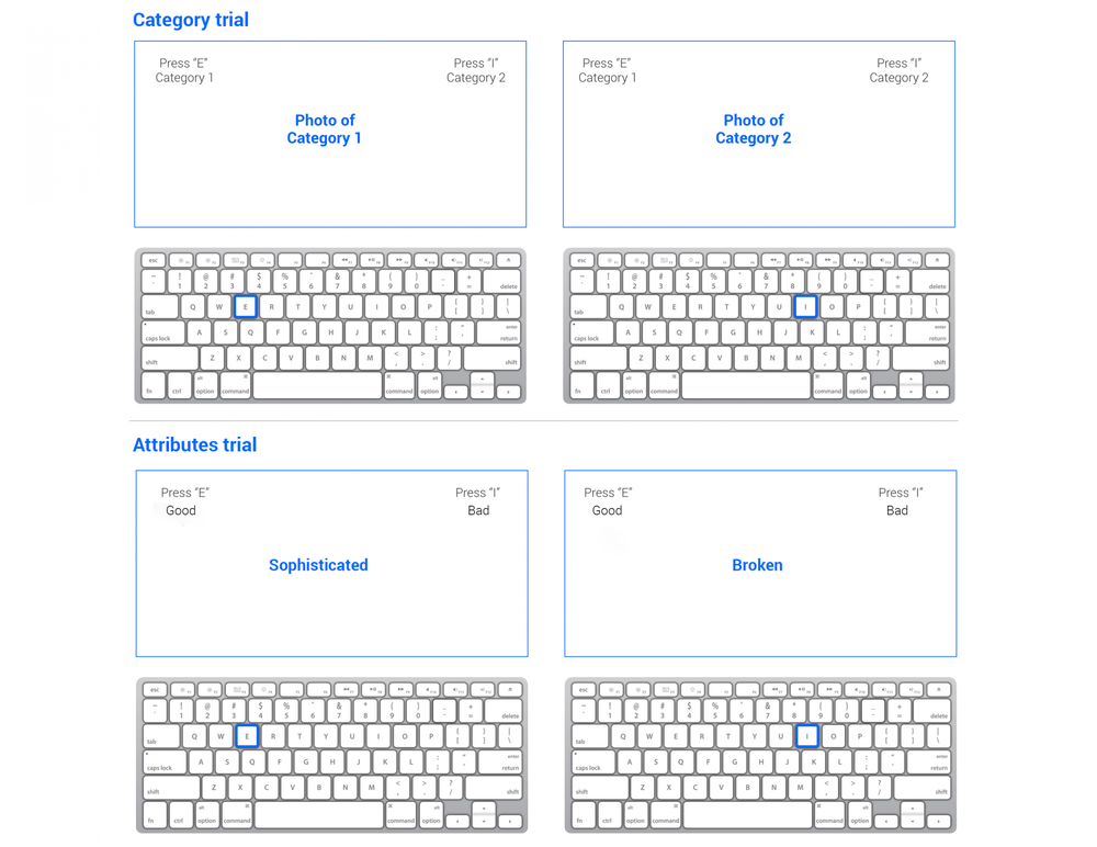 What is an Implicit Association Test (IAT) | Bitbrain