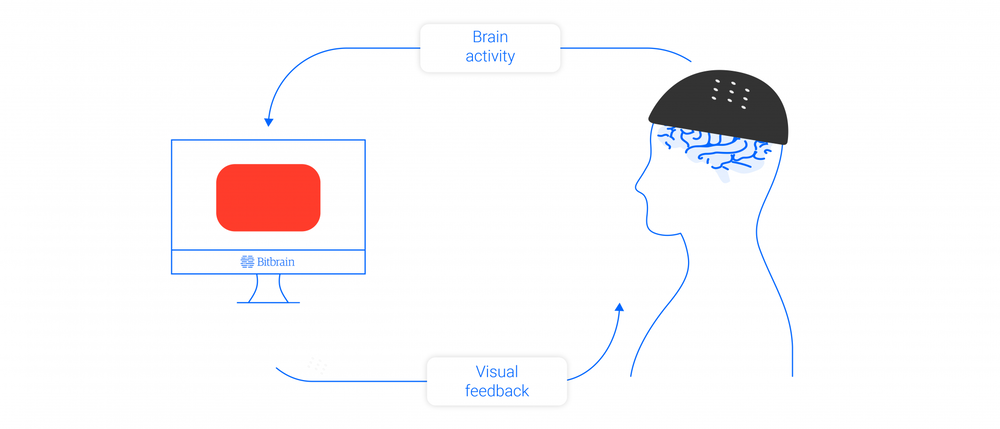 EEG for Human Enhancement and Rehabilitation | Bitbrain
