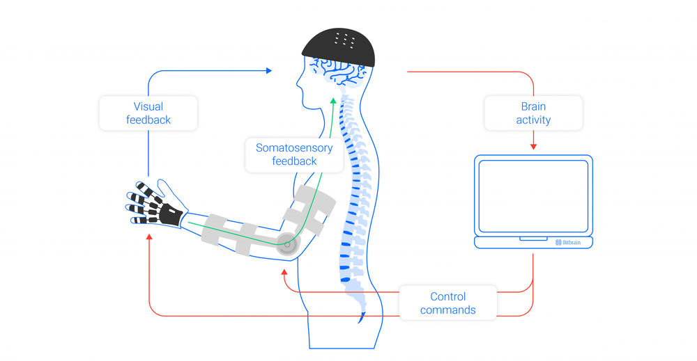 EEG for Human Enhancement and Rehabilitation | Bitbrain
